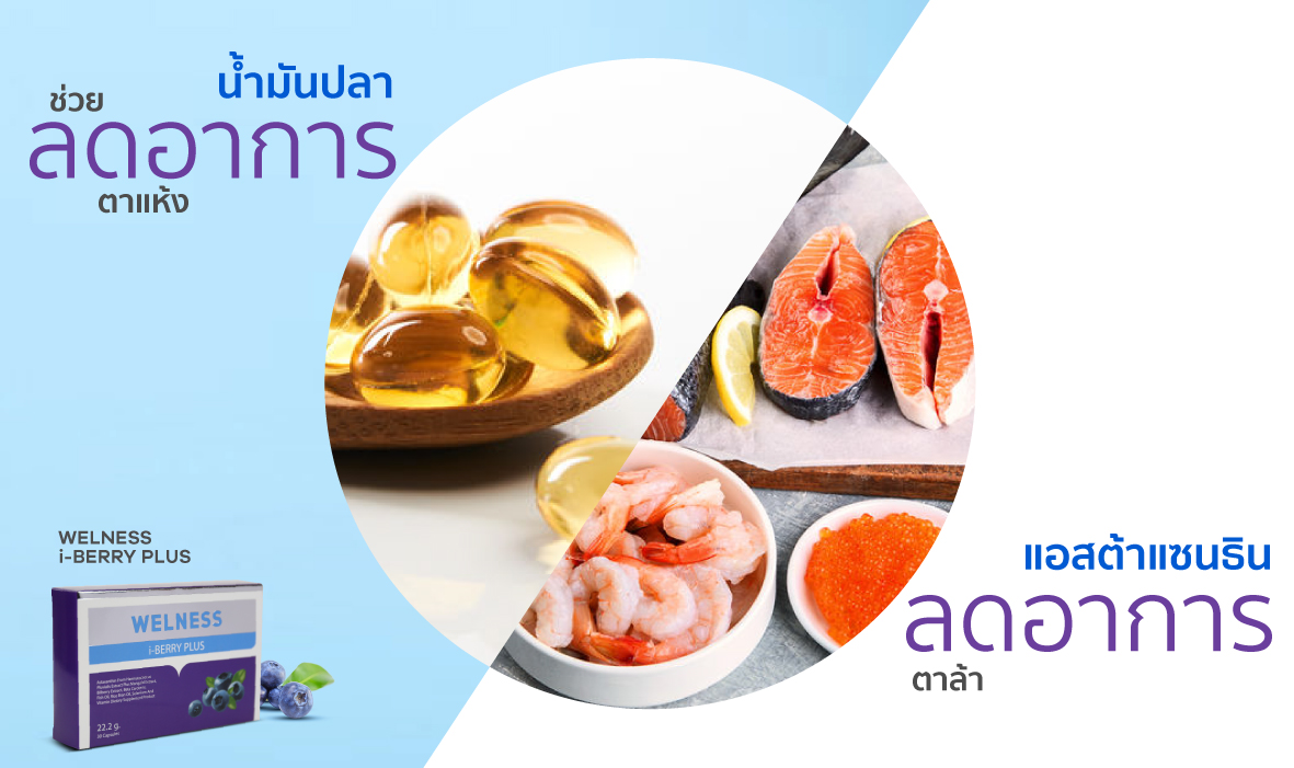 Welness i-berry Plus ซื้อ 1 แถม 3 [I-berry Plus 2 กล่อง + Welness ...