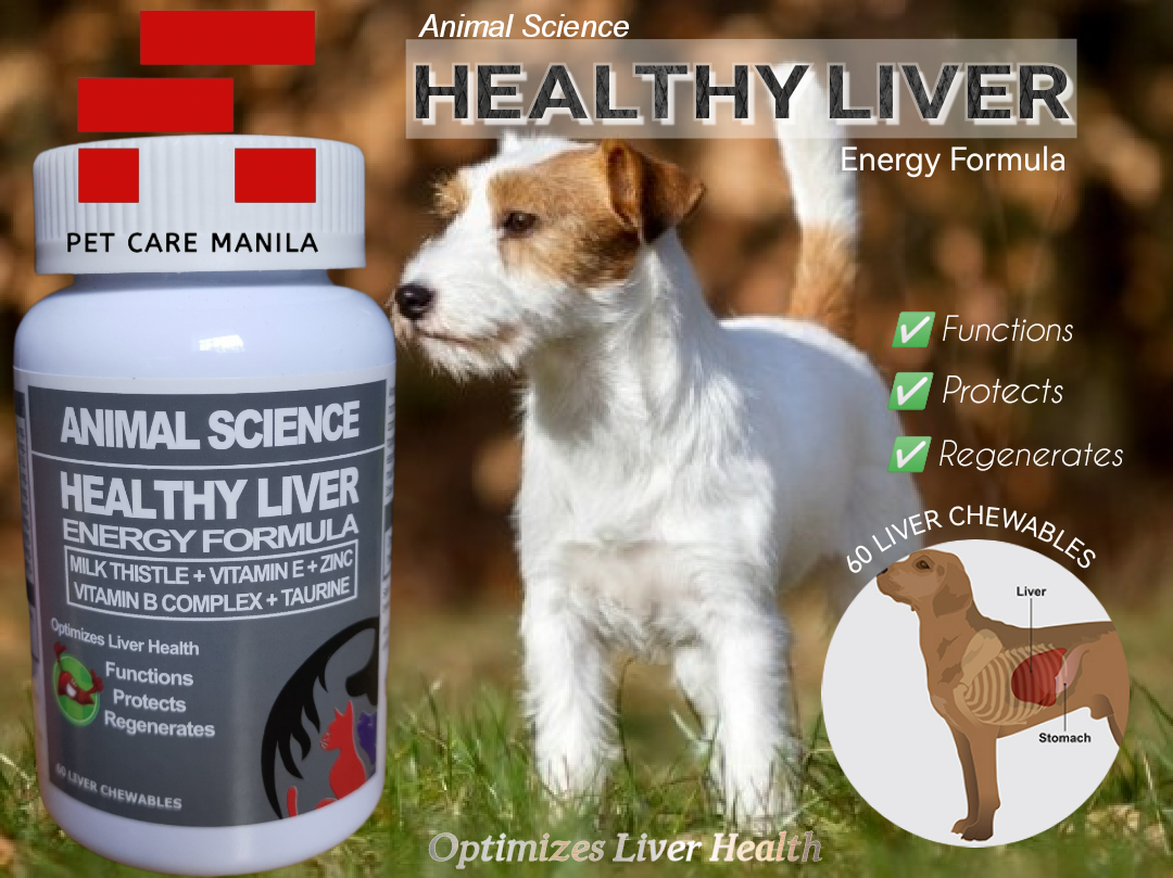 Animal Science HEALTHY LIVER Energy Formula, 60 liver chewable tablets ...
