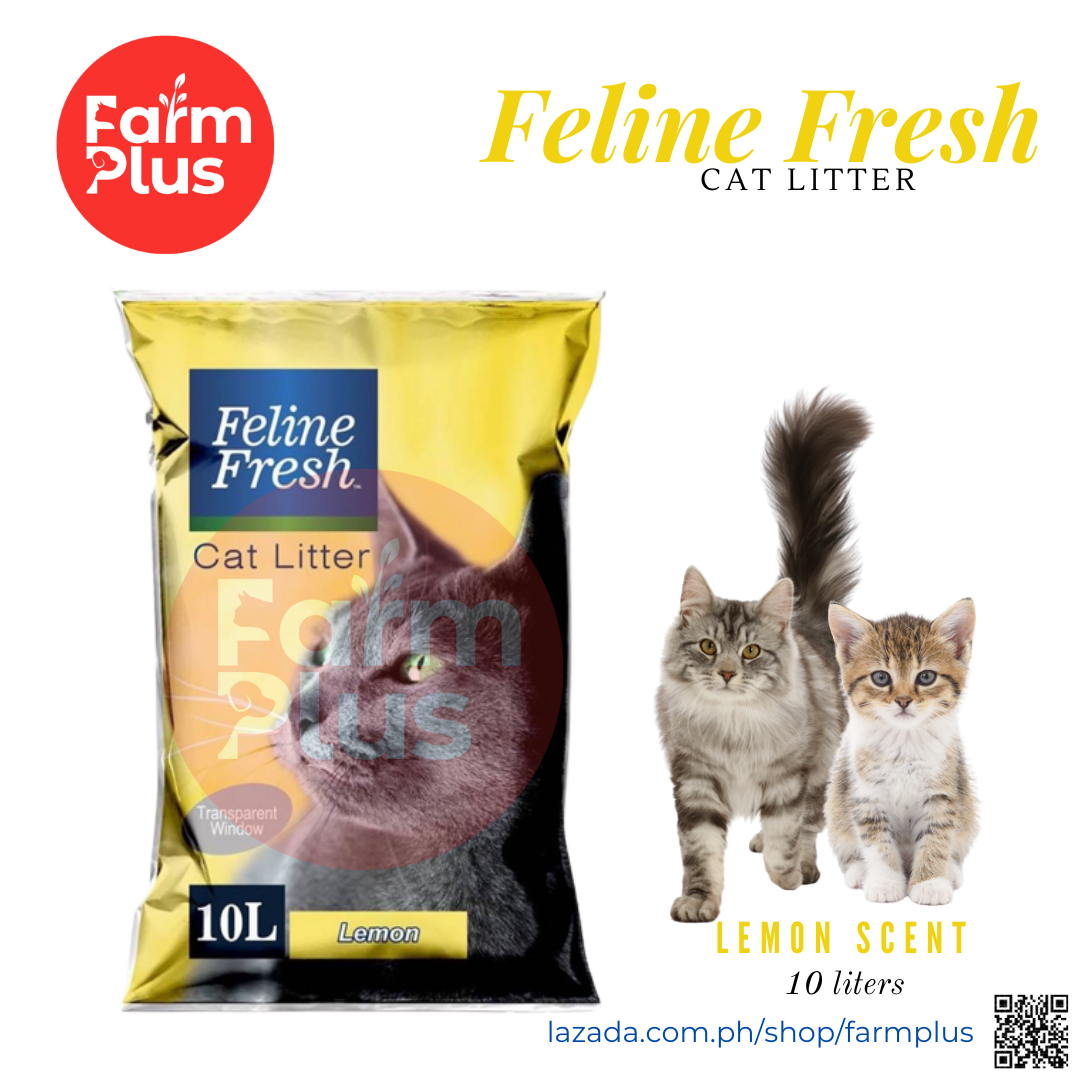 Feline Fresh Lemon Scent 10L Cat Litter | Lazada PH