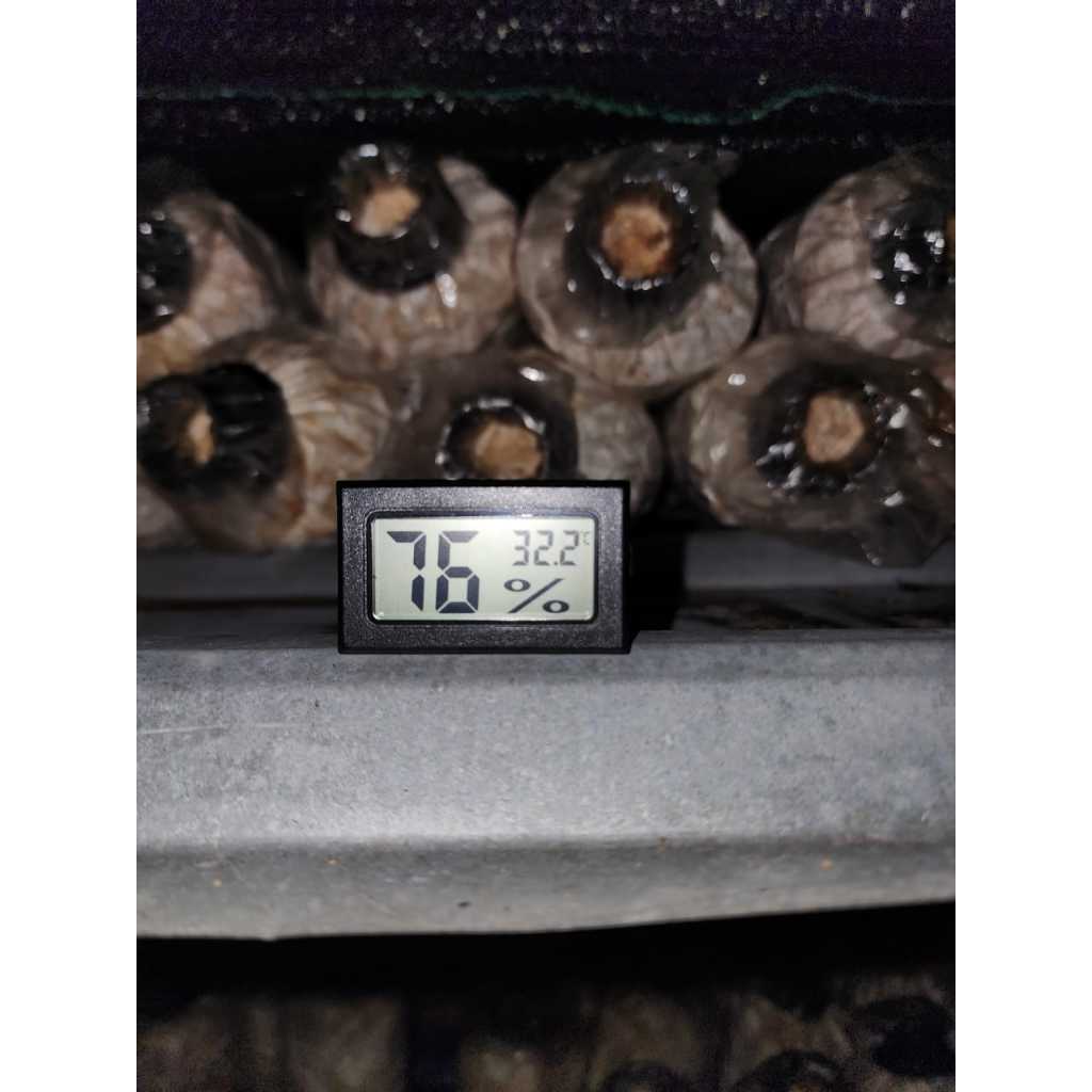 Hygrometer / Thermometer/ Temperature and Humidity Meter/ Outdoor ...