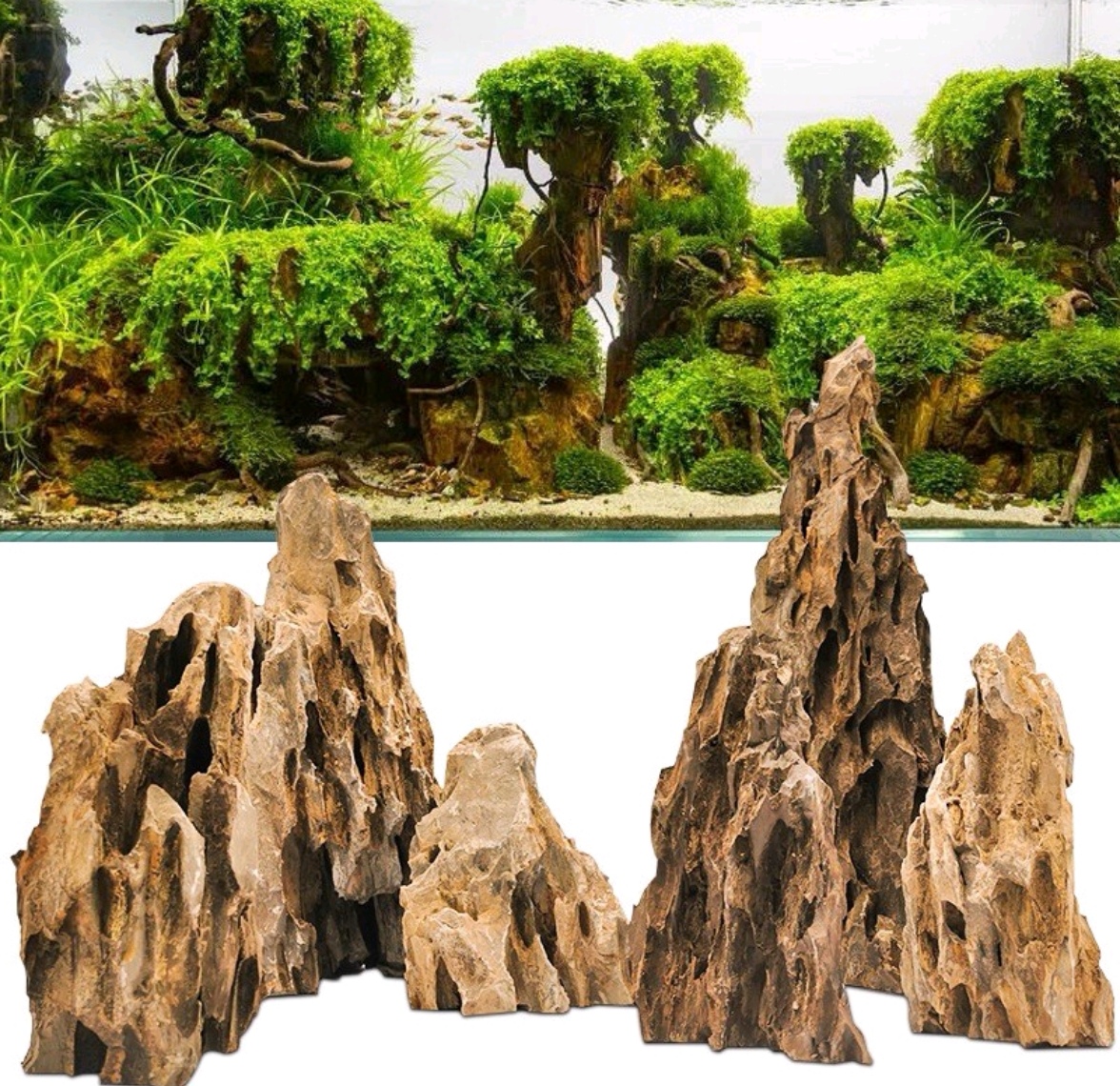 Aquarium Rock. Aquascape rock. Seiryu Rock & Dragon Rock for fish ...