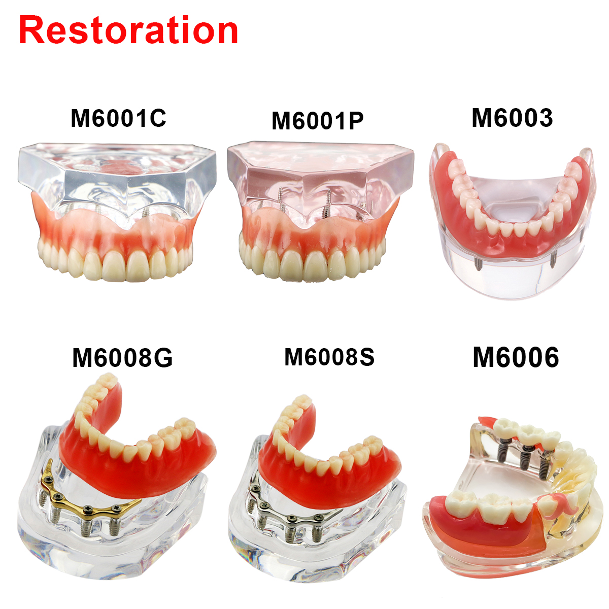 【High-quality】Multiple Types Dental Teeth Model Teaching Models ...