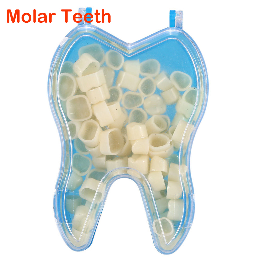 Dental Temporary Crowns Posteriors Molar Resin Tooth Teeth Dental ...