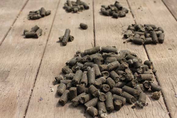 new zealand organic fertilizer Pelletised Sheep Manure, npk 3+3+3+bone ...