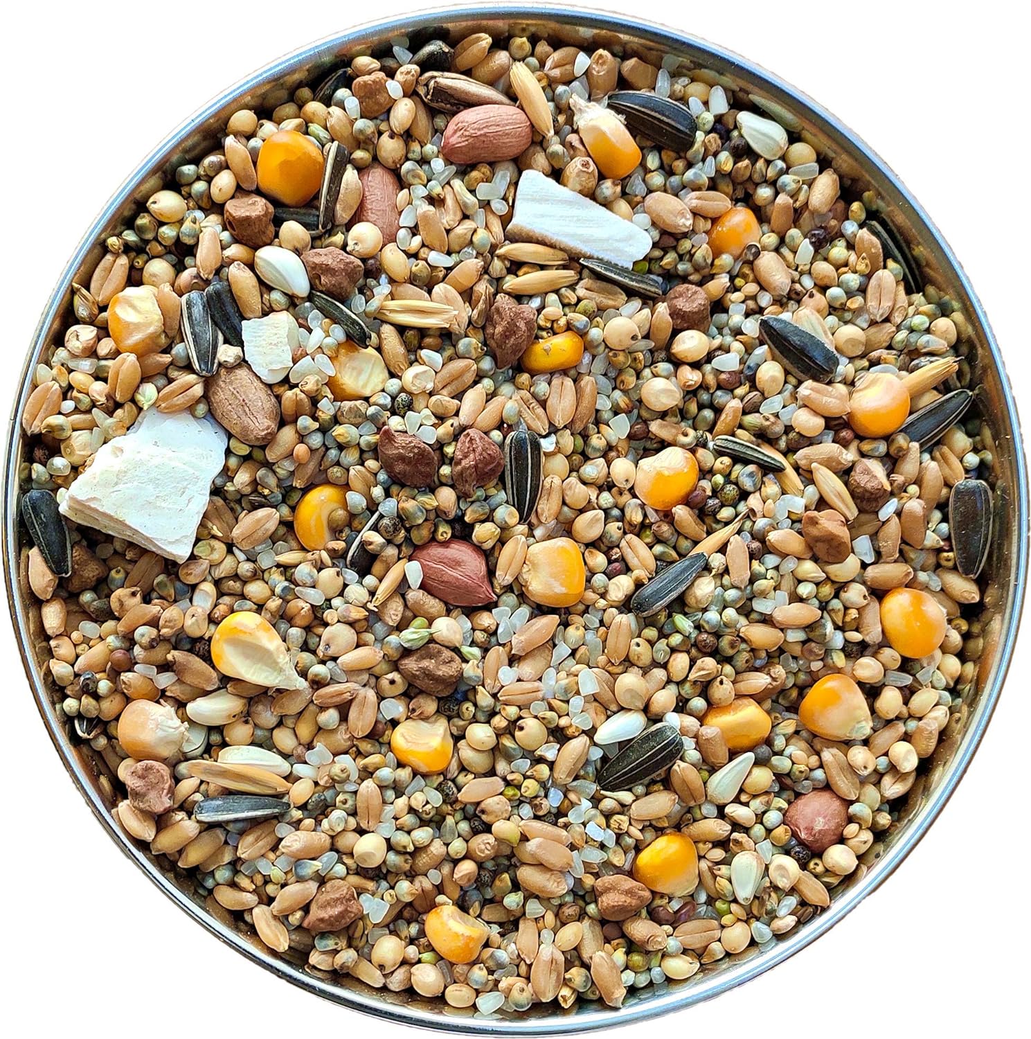 The Birds Company Premium Seed Blend of 9 Grains & Nuts, Bird Feeder ...