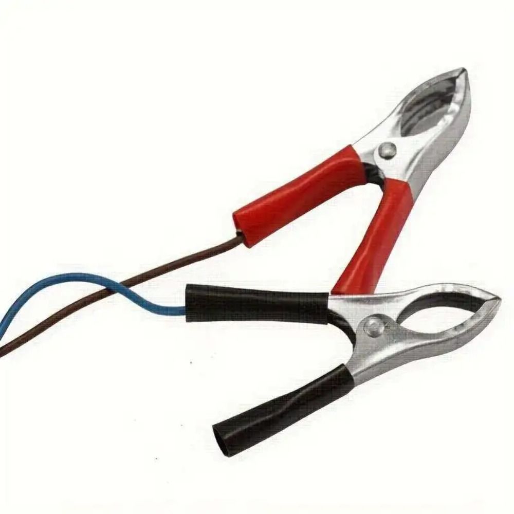 Rust-proof 12V/24V DC Electric Fuel Transfer Pump Corrosion-Resistant ...