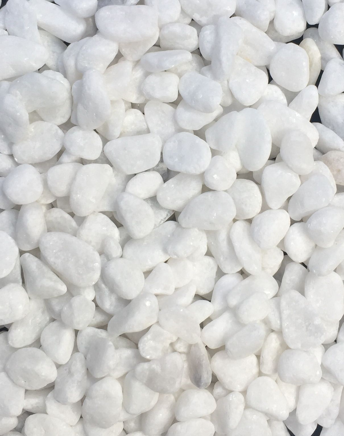 Batu Koral Putih Italy Import 20kg | Lazada Indonesia