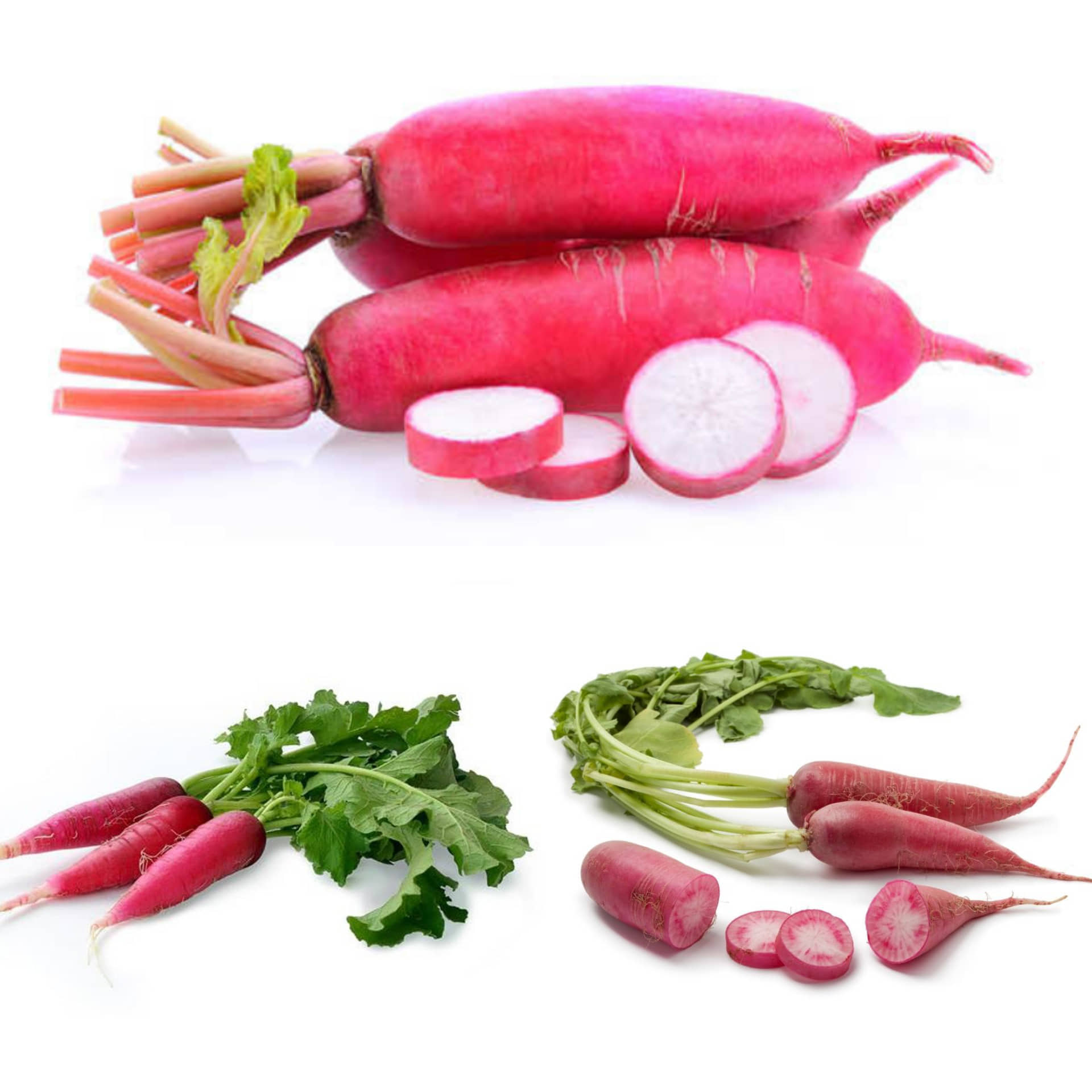 Binhi Pantanim 10 Seeds Labanos Red Long Radish Kimchi Outdoor Binhi Pantanim 10 Seeds Labanos Red Long Radish Kimchi Outdoor