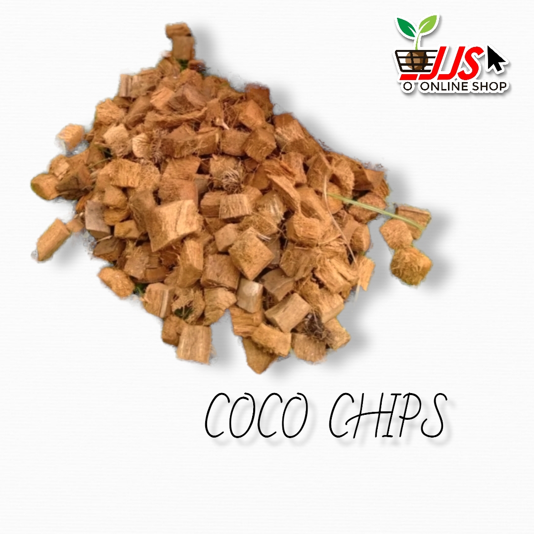 🛒 JJS Store | Coco Chips 250g | Pure and Organic Coconut Husk Chips ...