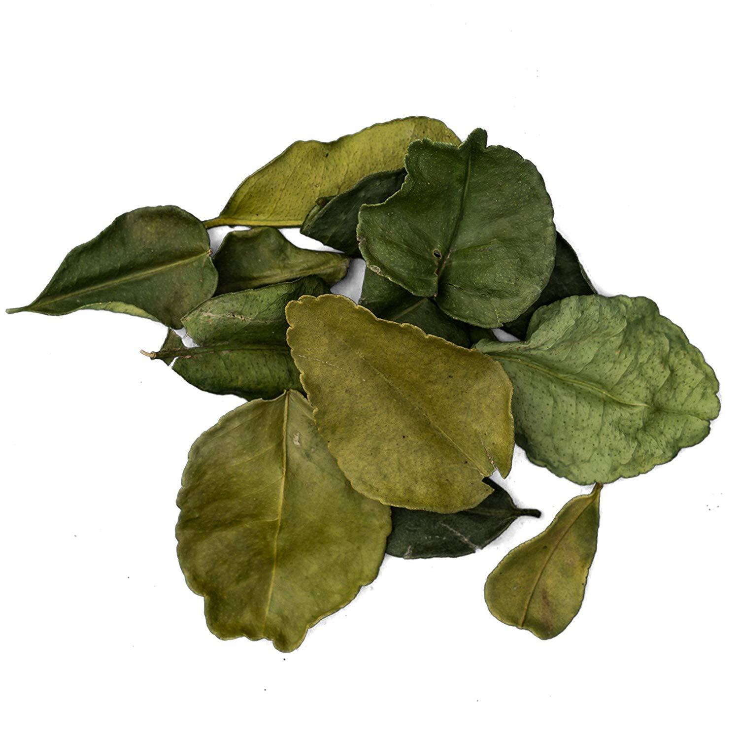 JustIngredients Premier Lime Leaves Vacuum Dried 100 g | Daraz.pk