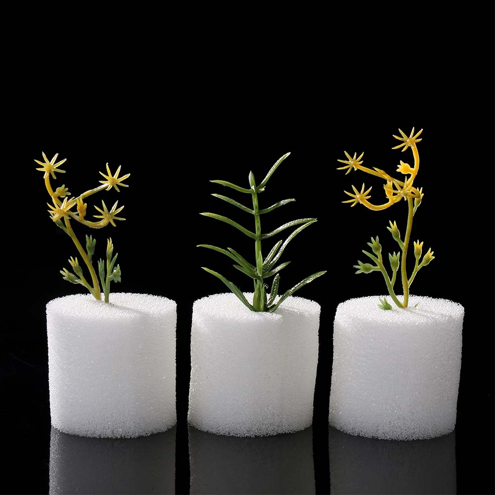 ZXCVX 50 Pcs ธรรมชาติไม่เป็นอันตรายโฮมเมดปลูกฟองน้ำผักปลูกด้วยน้ำ ...