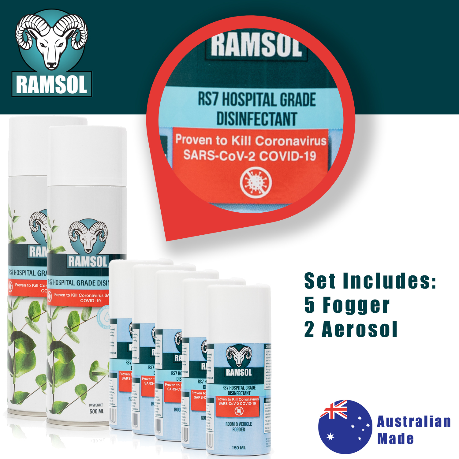 Ramsol RS7 Hospital Grade Disinfectant - Proven to Kill Coronavirus ...