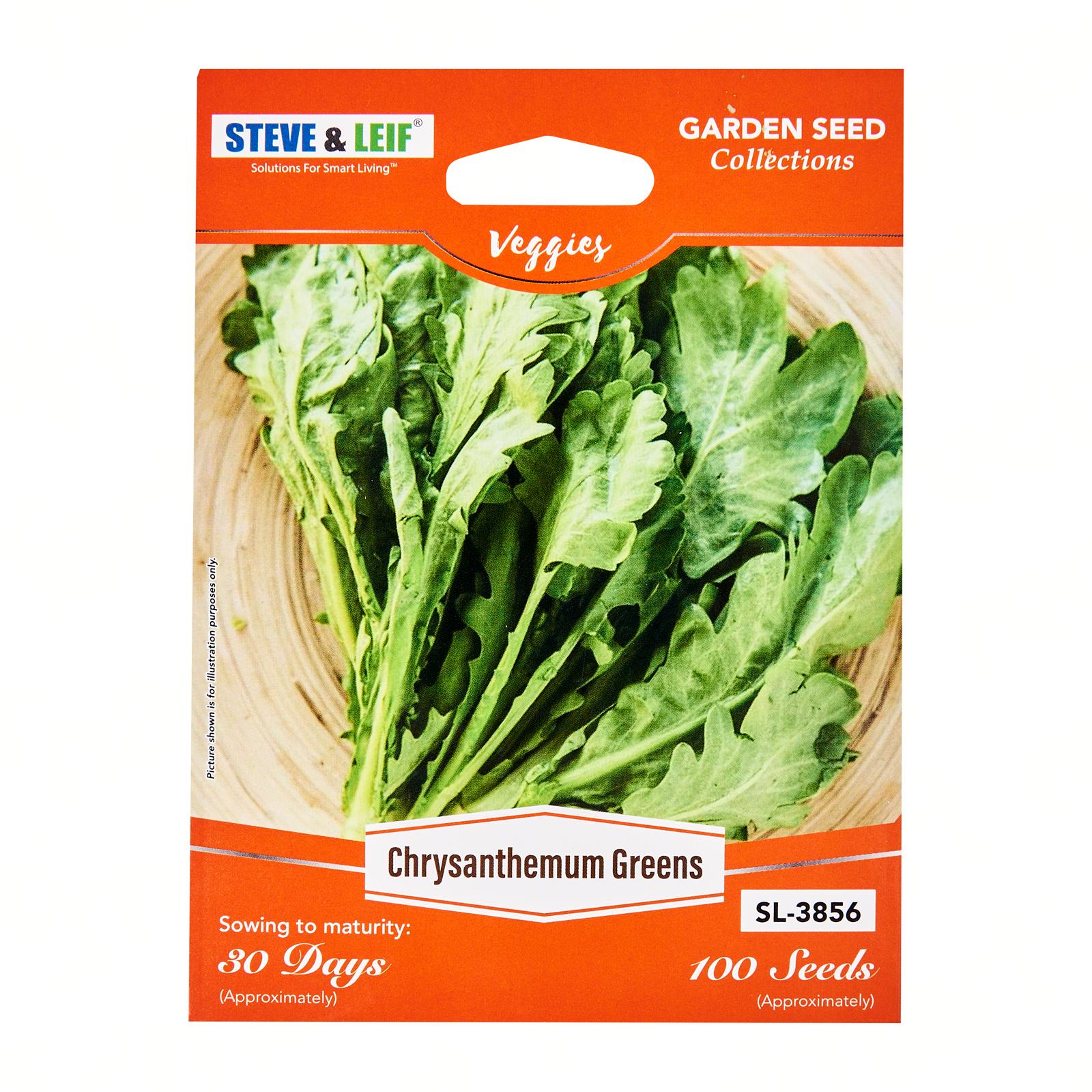 Steve & Leif Chrysanthemum Green (Tang Oh) Seeds (100 Seeds) - Bundle ...