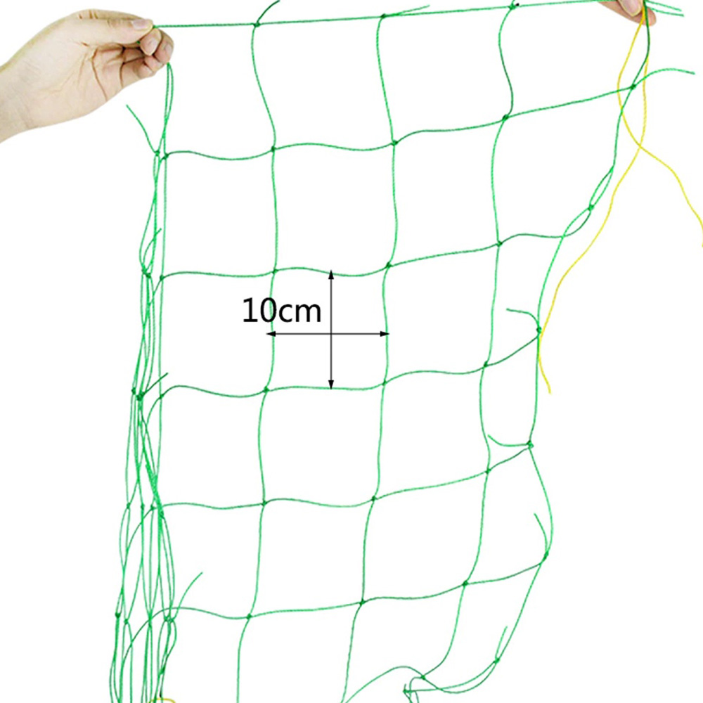 Garden Plants Climbing Net Strong Nylon Net Loofah Morning Glory Flower ...