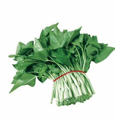 KANGKONG SEEDS WATER SPINACH | Lazada PH