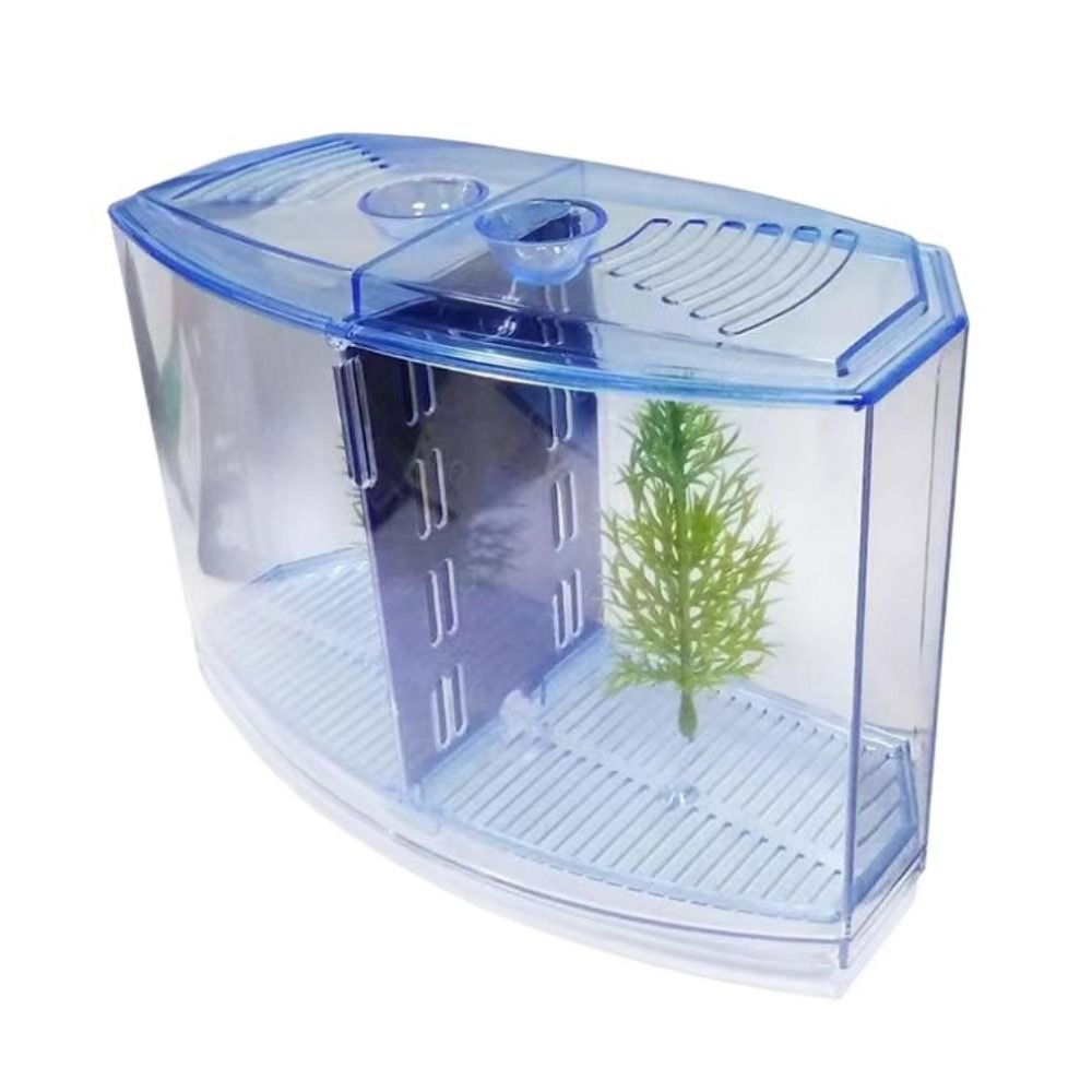 Practical Transparent Betta Fish Plastic with Water Grass Double-grid ...