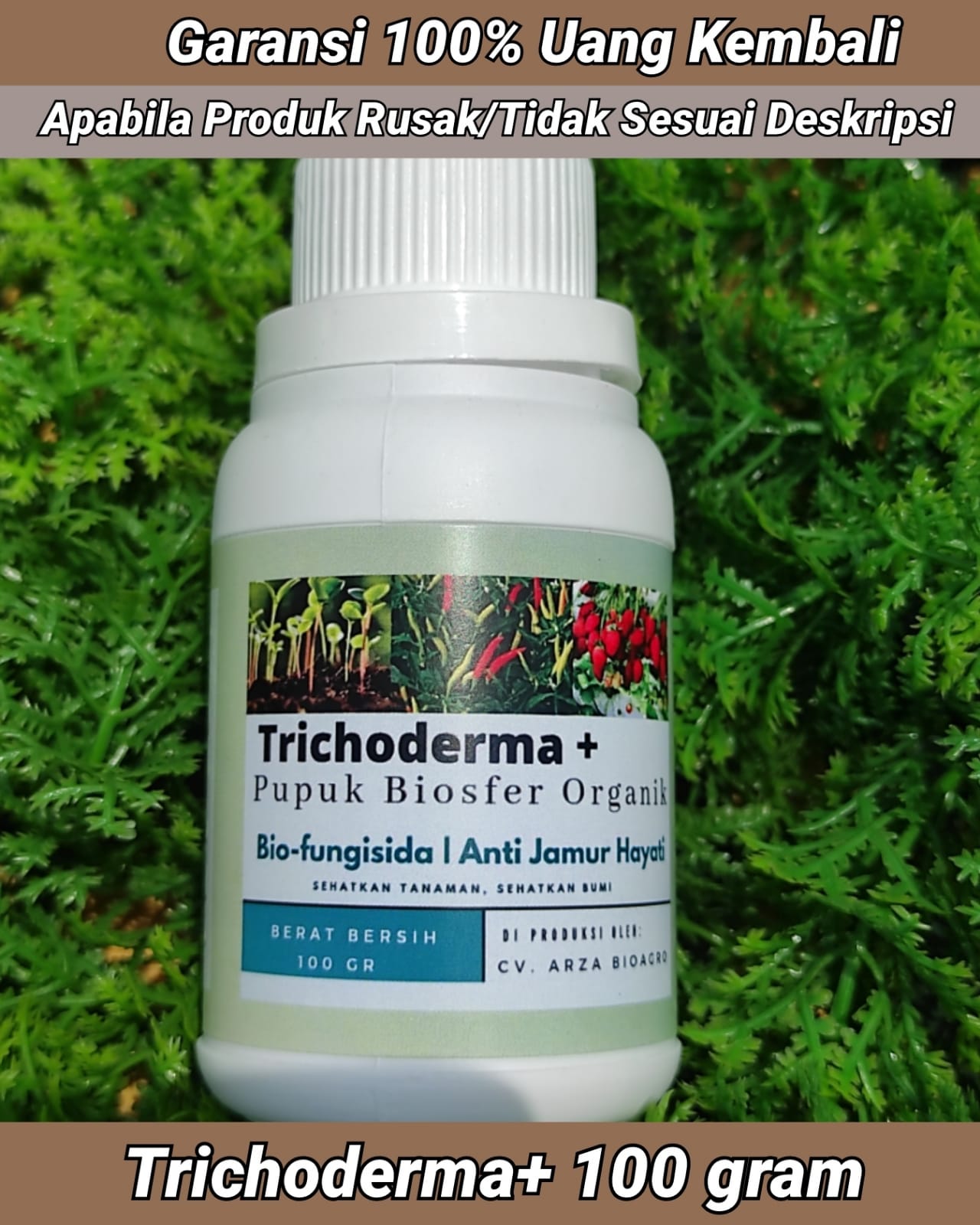 Bio-Fungsida Trichoderma Plus Pupuk Biosfer Anti Jamur Anti Layu-100gr ...