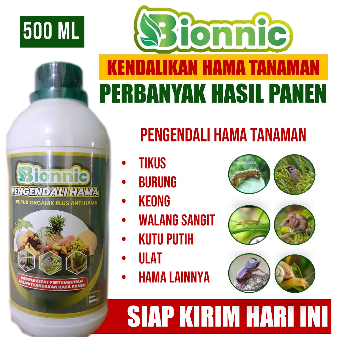 500 ML BIONNIC Pupuk Pestisida Cair Pengendali Hama Tikus, Keong MAS ...