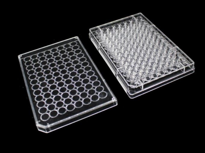 Tissue Culture Plate 96 Well V with Cover, EO Sterile 96 Well V | Lazada PH