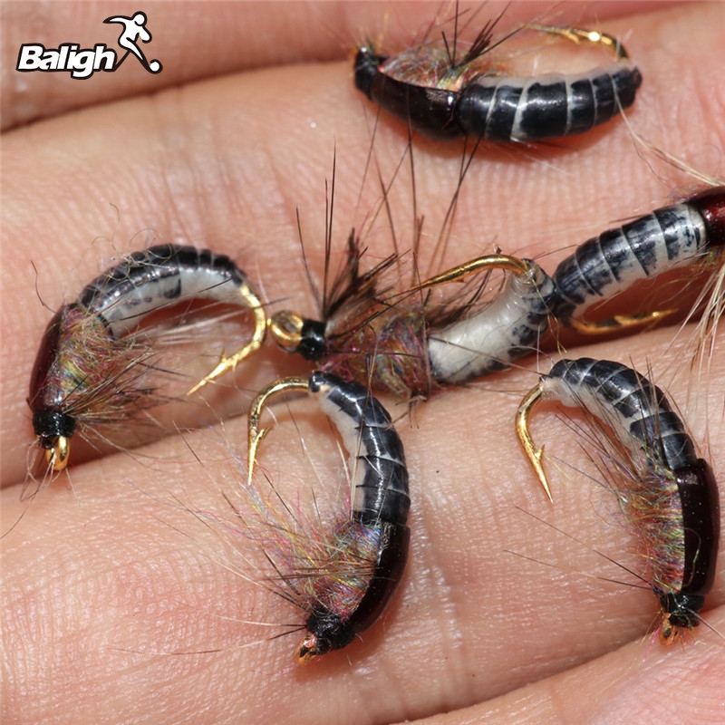 6PCS #12 Woolly Brown Caddis Nymph Fly Deer Beetle Trout Fishing ...