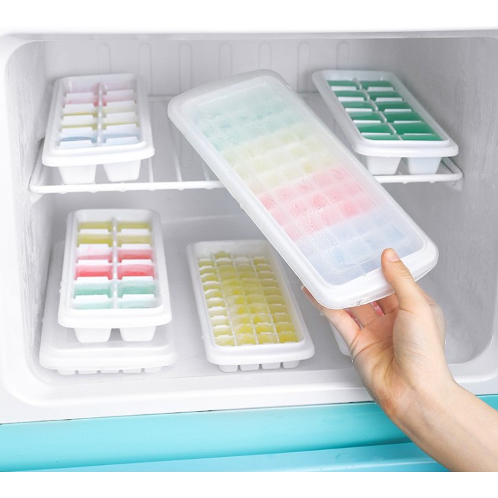 12 Grid Ice molder with cover | Lazada PH