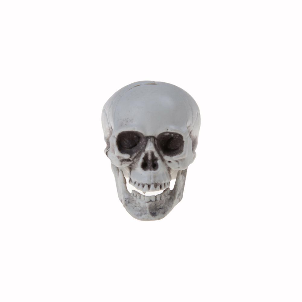 Halloween Decorations Artificial Skull Model Plastic Skull Bone Horror ...