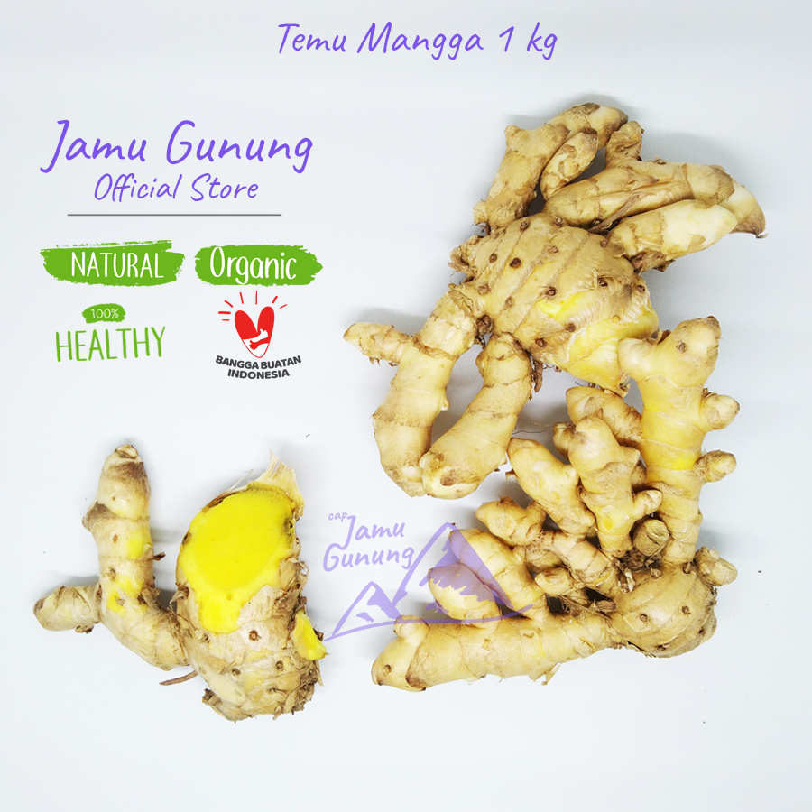 Temu Mangga Segar 1kg Obat Tradisional - Organik dari Gunung Kidul ...