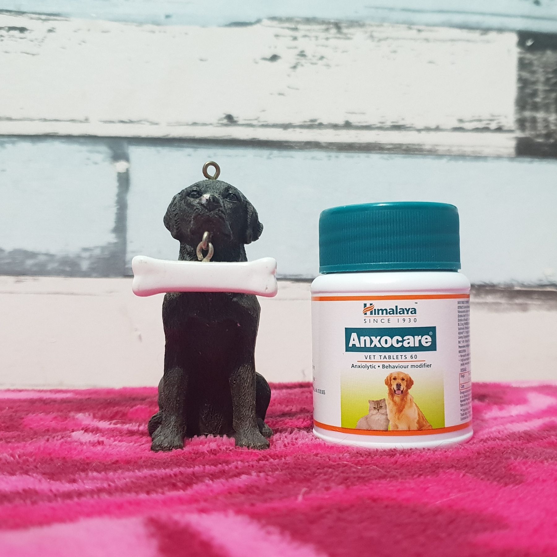 Himalaya Anxocare for Dogs and Cats 6o Tablets (for Pet Anxiety ...