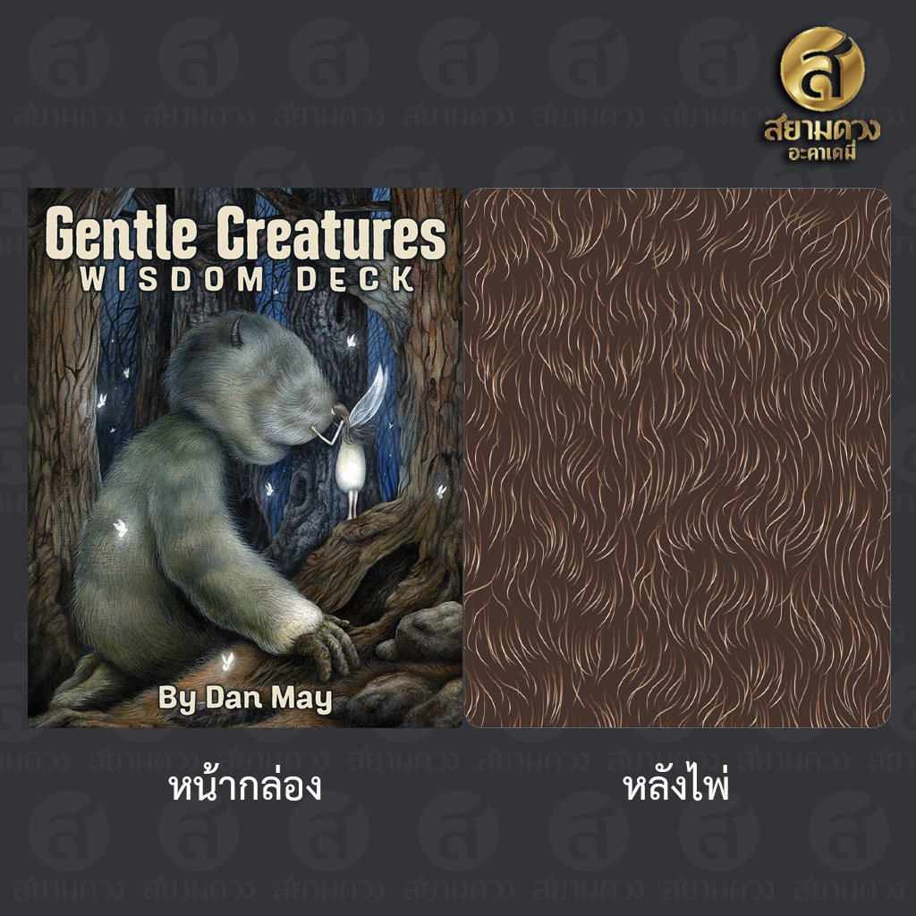 Gentle Creatures Wisdom Deck ไพ่ออราเคิลแท้ ชุด “ละมุนมันตาแห่งปาณภูติ ...