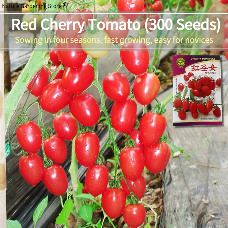 Red Cherry Tomato Seeds for Planting (300 Seeds) - Fresh Fruit Seeds ...