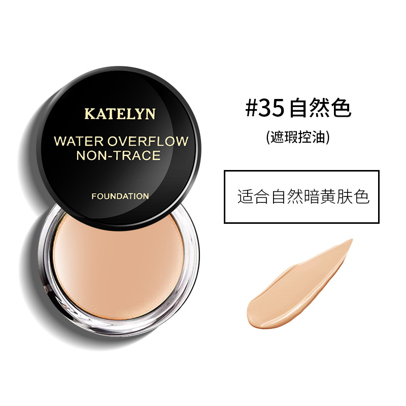 KTL Catlin flawless foundation make-up cream covers spots, acne marks ...