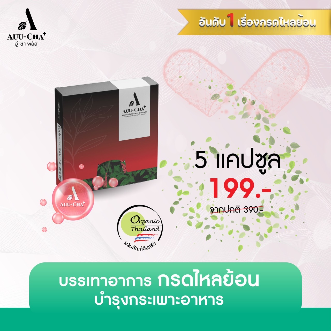Auu-Cha+ อู่ชาพลัส สมุนไพรแก้กรดไหลย้อน สมุนไพรกรดไหลย้อน สมุนไพรบรรเทา ...