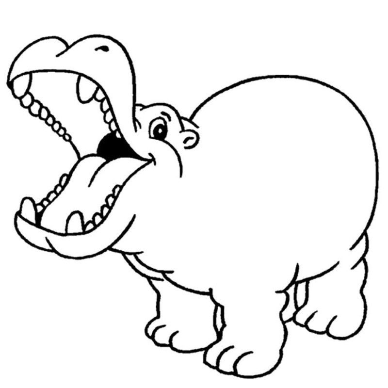 Hà mã Hippo - Set 20 Tờ Tranh Tô Màu A4 A5 Dành Cho Màu Sáp, Màu Chì - | Lazada.vn