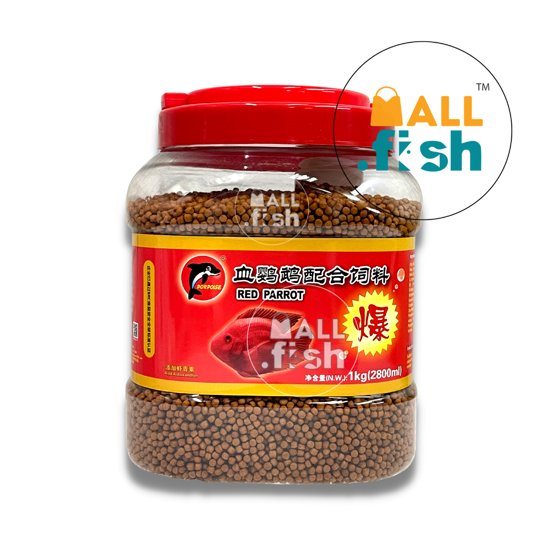 Porpoise Red Parrot (1kg) Add Astaxanthin Fish Food | Lazada