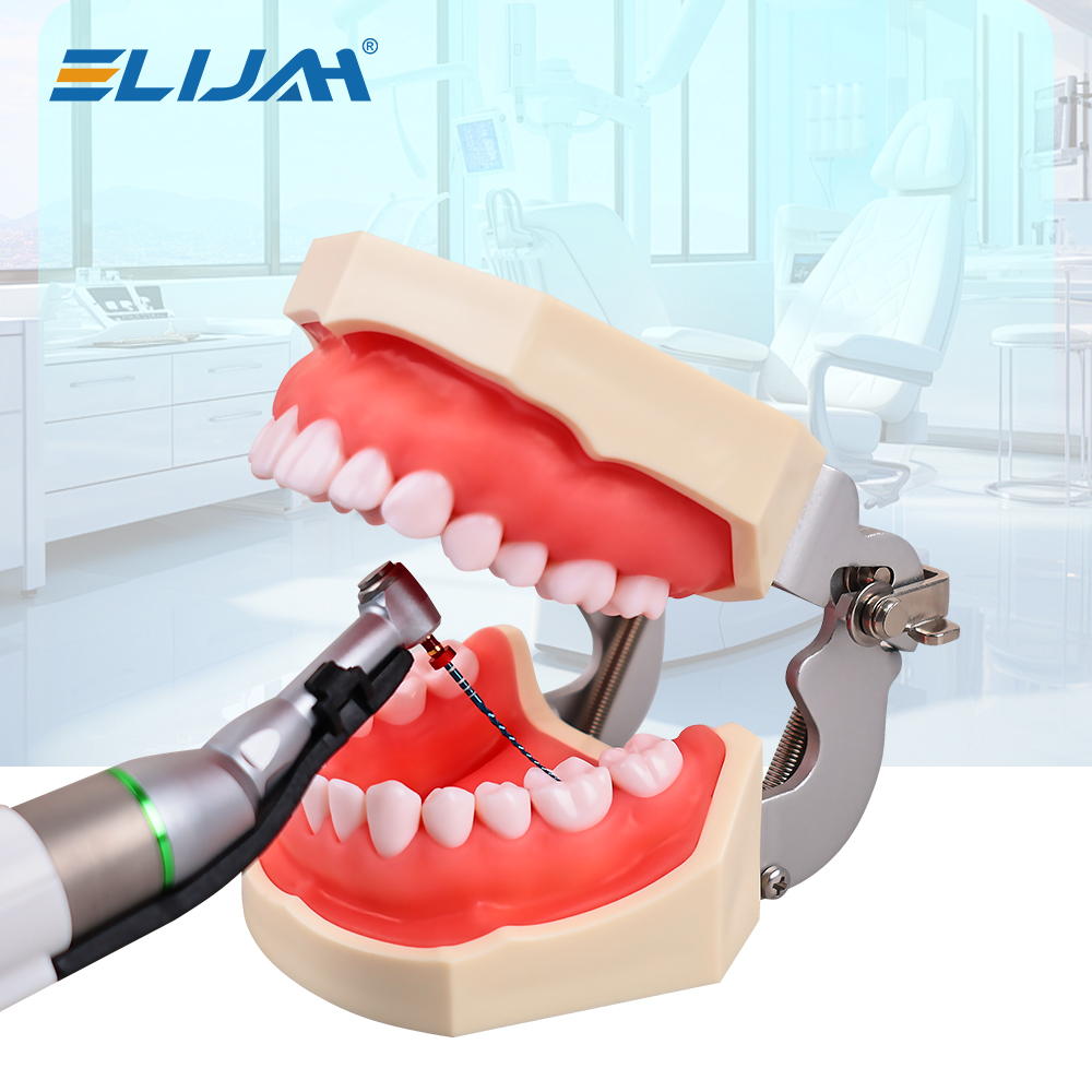 ELIJAH 6Pcs NITI Blue Rotary Heat Activated Endodontic Files 25mm Sx-F3 ...