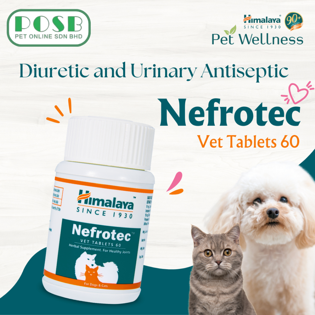 Himalaya NEFROTEC VET Tablets 60 for Cats and Dogs | Lazada