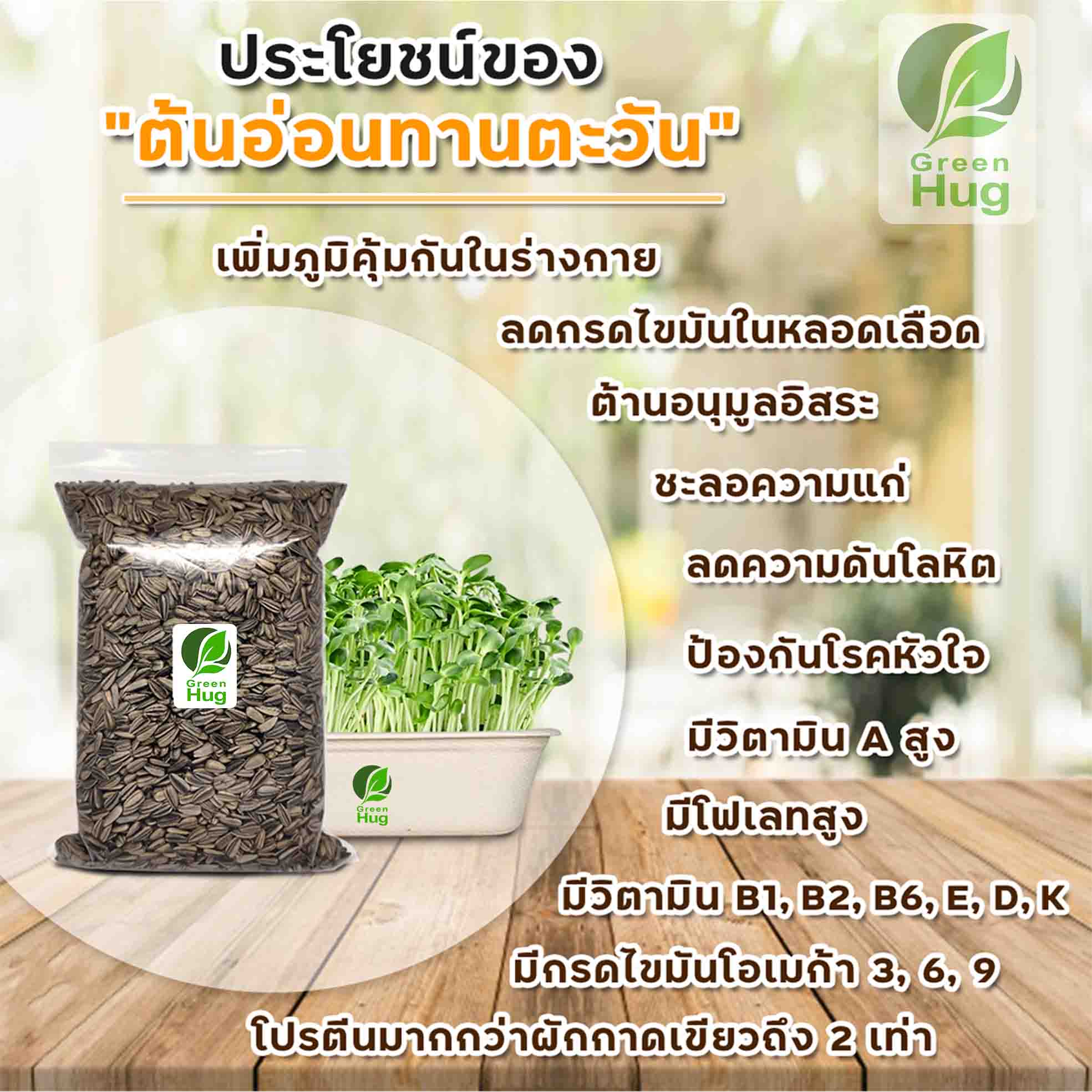 เมล็ดทานตะวัน *300กรัม* ( Sunflower Seeds 300 g. ) GREENHUG เมล็ดต้นอ่อน - GREEN HUG - ThaiPick