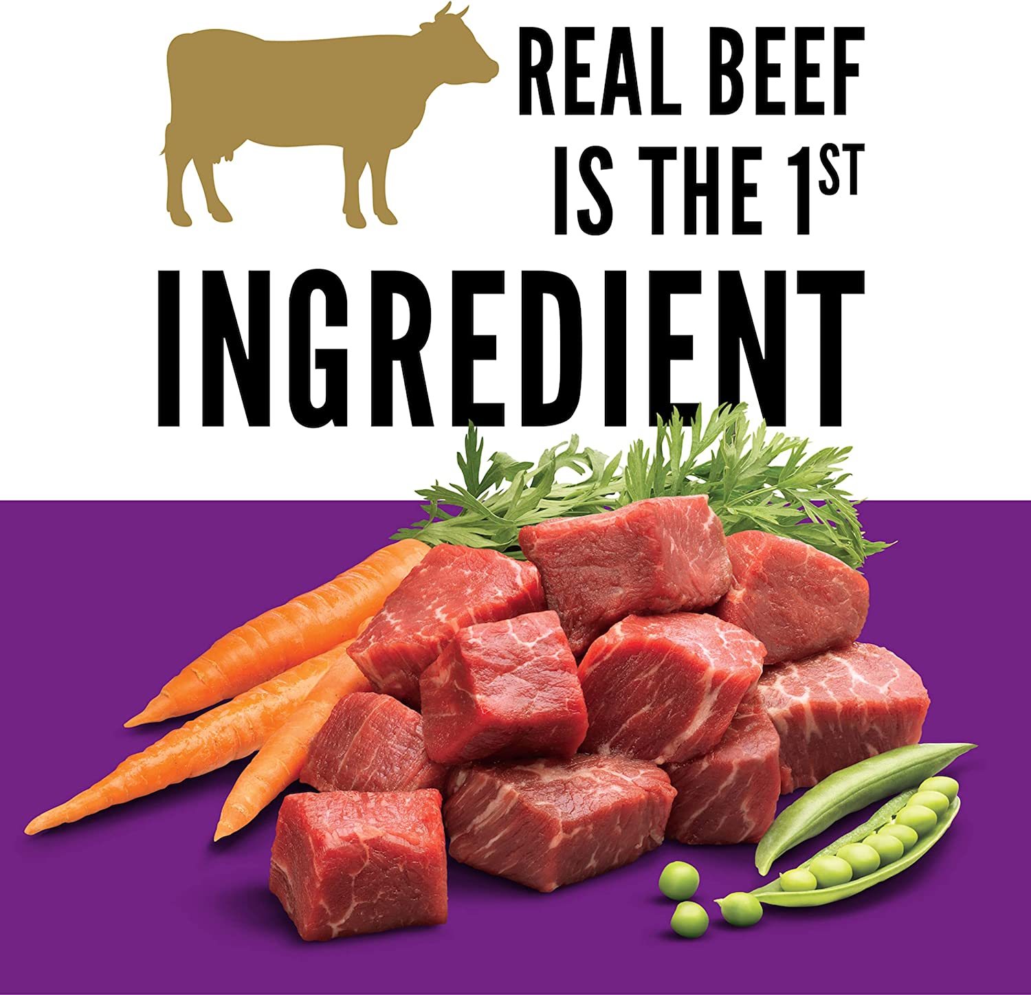 CESAR Small Breed Dry Dog Food Filet Mignon Flavor with Spring ...