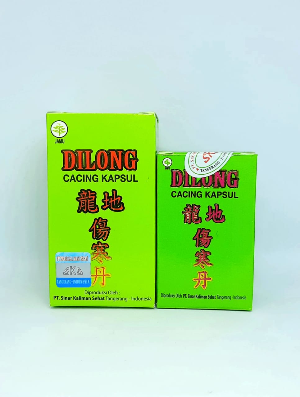 DILONG KAPSUL CACING obat tipes demam radang usus Ampuh | Lazada Indonesia