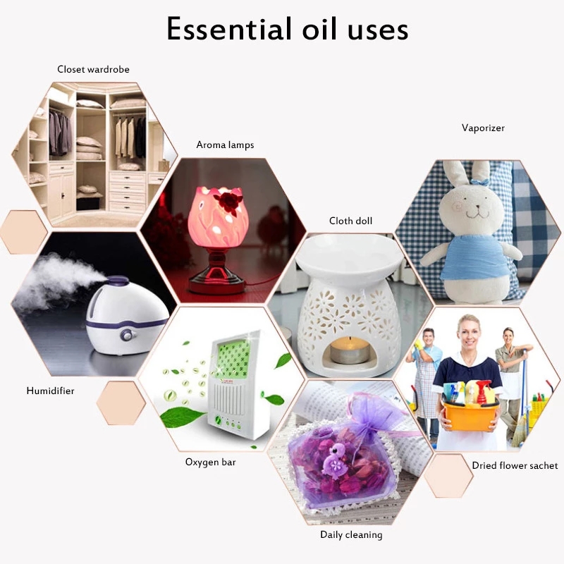 6pcs Boxes Pure Plant Fragrance Oil Essential Oil Ocean Rose Perfume ...