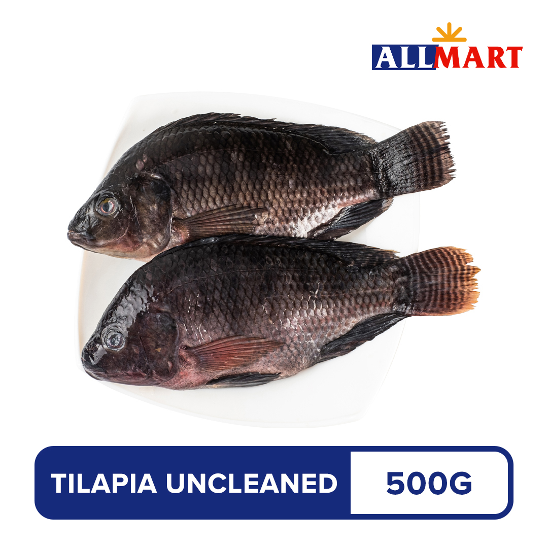 AllMart Tilapia Batangas Uncleaned 500g | Lazada PH