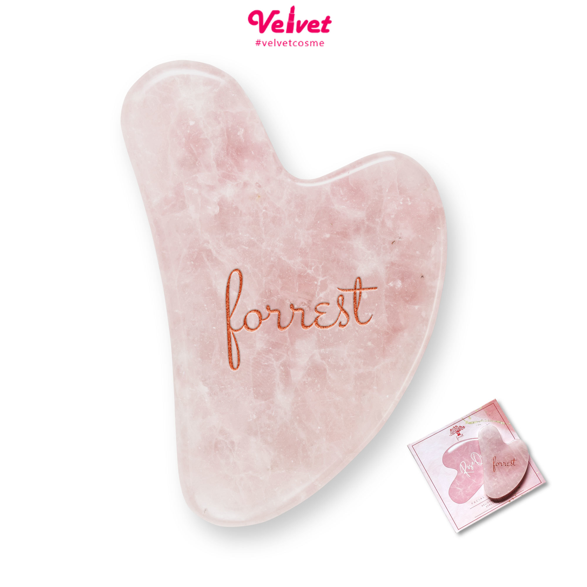 Forrest Jade roller and Gua Sha set ฟอร์เรสท์ ลูกกลิ้งหยก กัวซา เชท ...