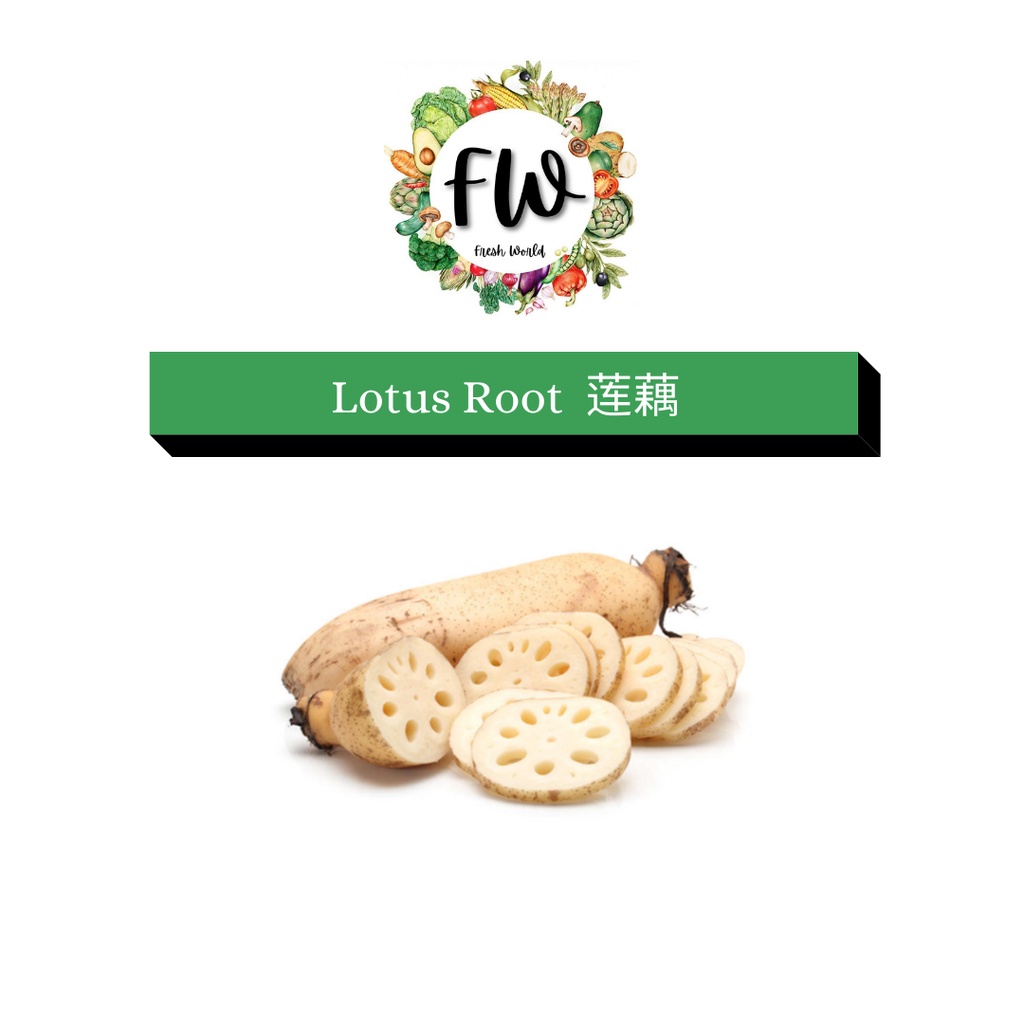 Lotus Root 莲藕 500g+/- | Lazada