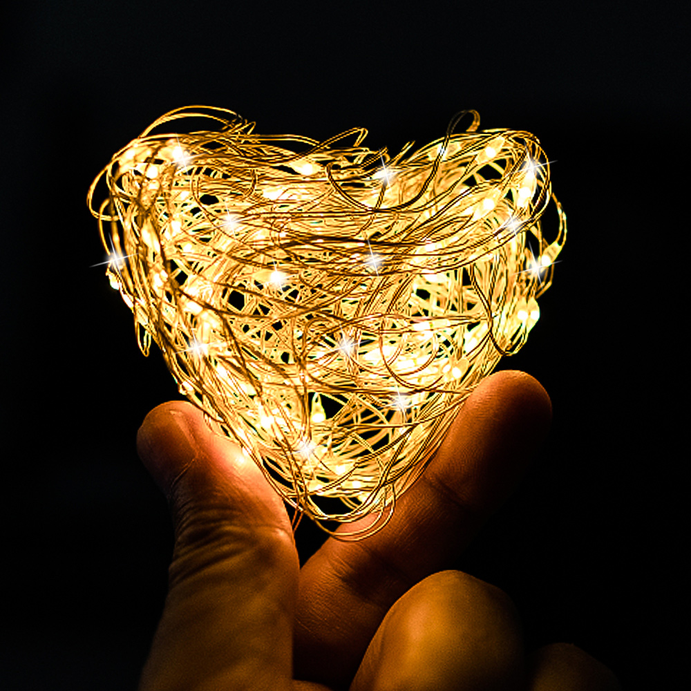 2/3/5/10M Firefly Bunch Light Copper Wire Lamps LED String Lights Cafe ...