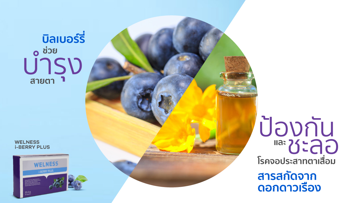 Welness i-berry Plus ซื้อ 1 แถม 3 [I-berry Plus 2 กล่อง + Welness ...