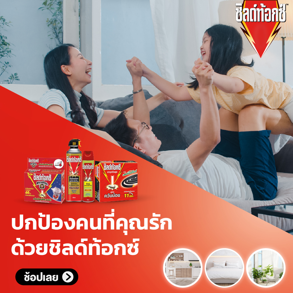 Shieldtox Coil 60 กล่อง ชิลด์ท้อกซ์ ยาจุด กันยุง cockroach killer สูตร ...