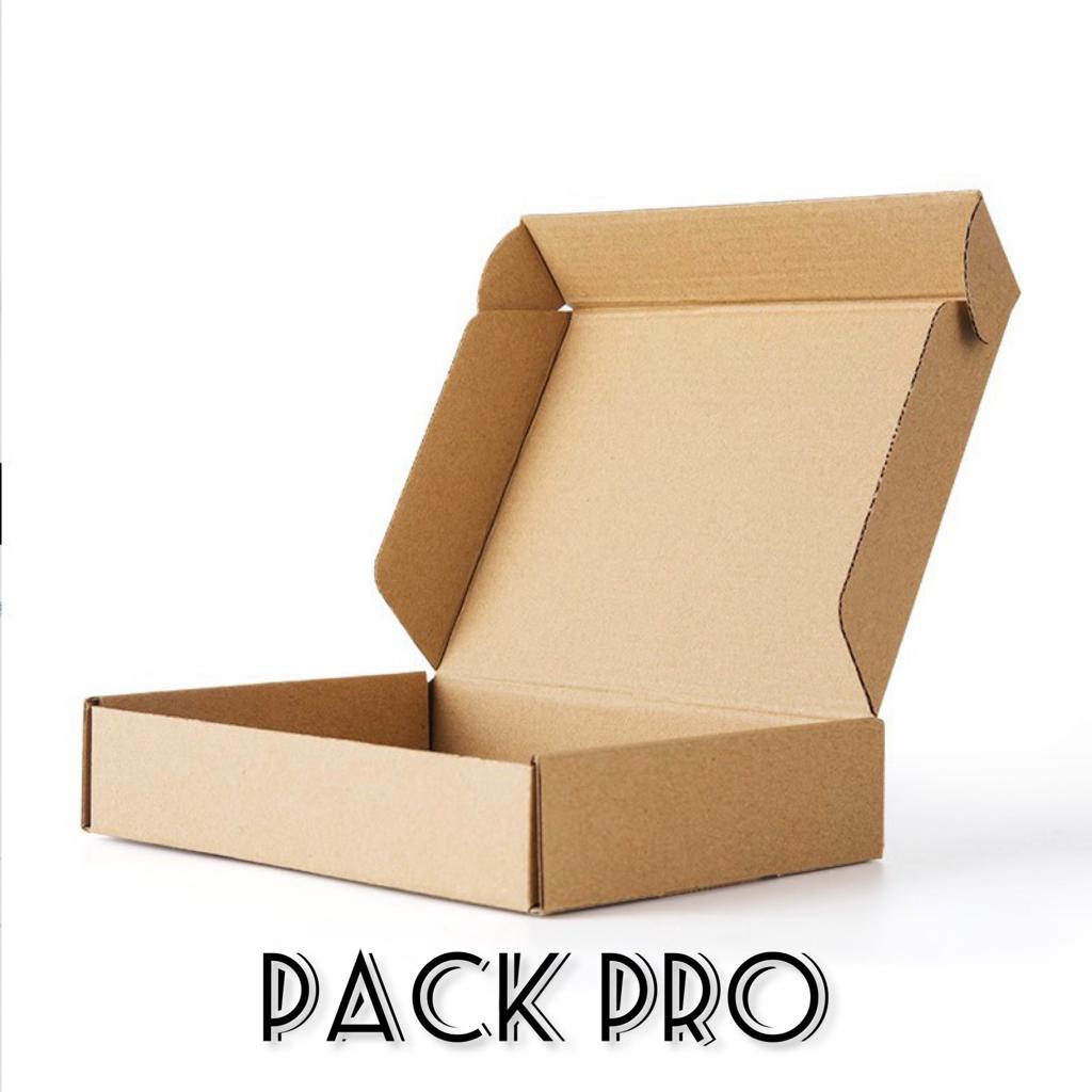 【SG Ready Stock】Pizza Box | Die Cut Box | Airplane Box | Packaging Box ...
