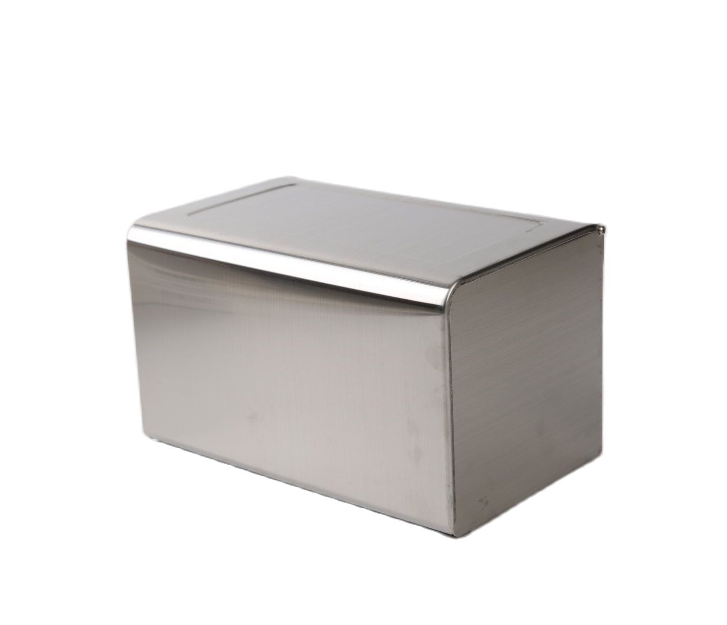 Stainless Steel Tissue Dispenser Dual- Purpose Design (Silver) | Lazada PH