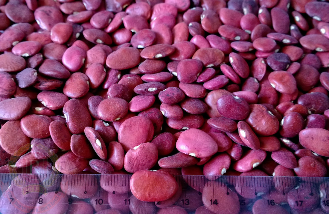 Bean Velvet ပဲကတ္တီပါ 1kg | Lazada