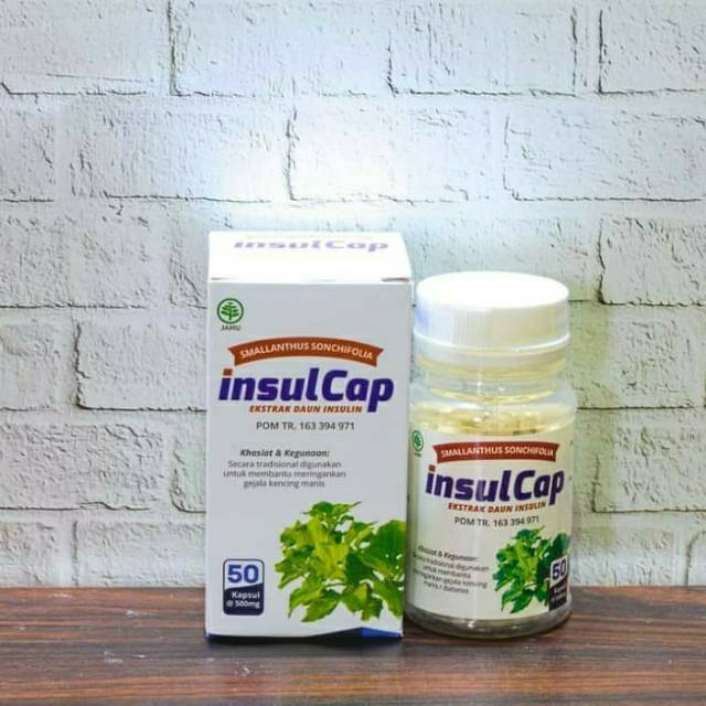 2 Botol Kapsul Insulcap dibuat dari daun insulin InsulCap Ekstrak Daun ...